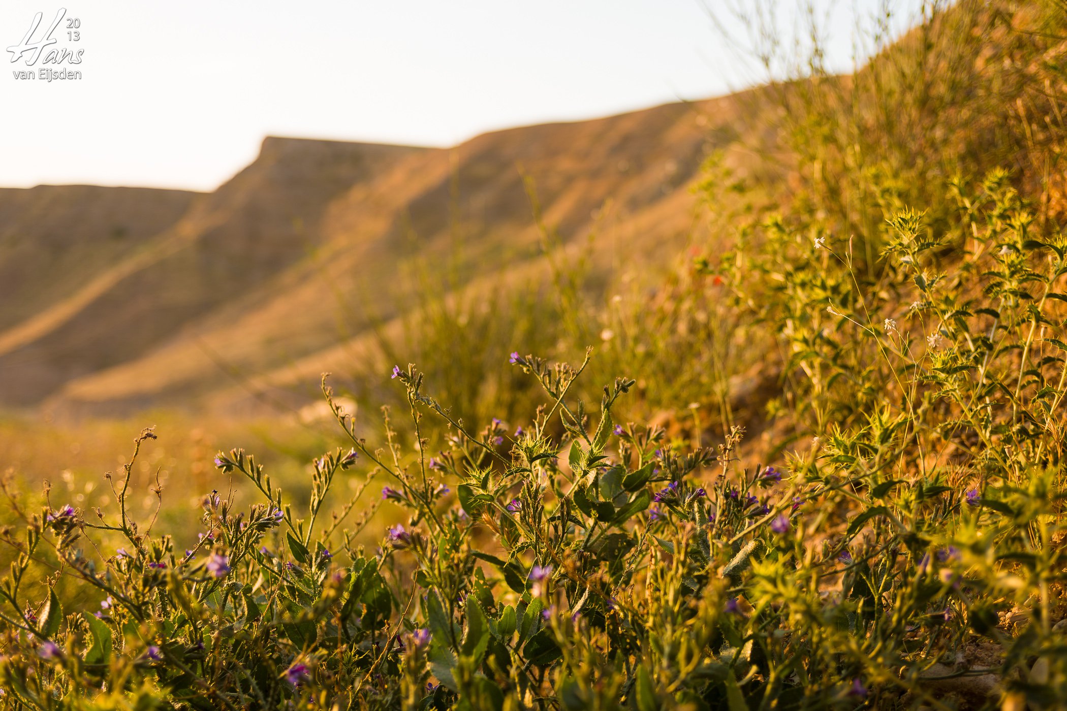 Iraqi Kurdistan: Landscapes & Nature - Hans van Eijsden Photography